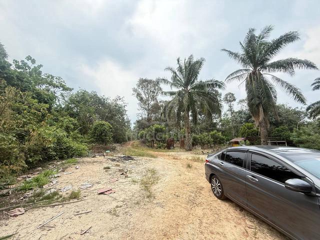 Agricultural Land for Sale, 7.47 Acre(s), Jasin, Melaka 113111941 ...