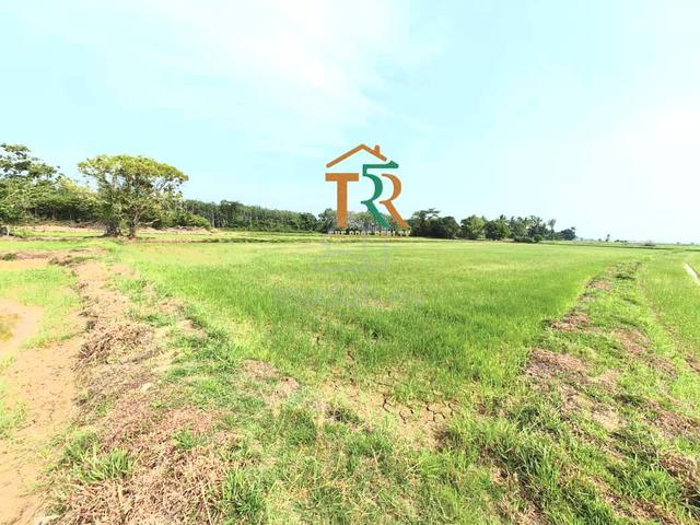 Agricultural Land for Sale, 4.31 Acre(s), Pendang, Kedah | Mudah.my
