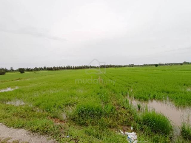 Agricultural Land for Sale, 4.07 Acre(s), Bandar Baharu, Kedah | Mudah.my