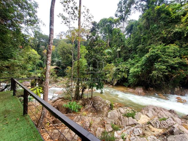 Agricultural Land for Sale, 3 Acre(s), Raub, Pahang 110615395 | Mudah.my