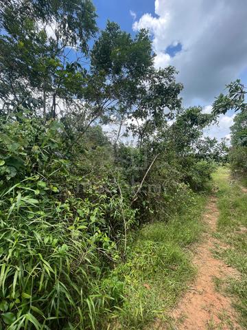 Residential Land for Sale, 0.14 Acre(s), Marang, Terengganu | Mudah.my