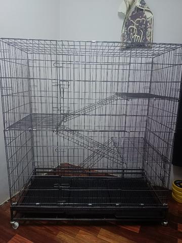 sangkar kucing - Pets for sale in Relau, Penang