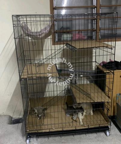 Sangkar Kucing 3 Tingkat DIY - Pets for sale in Sungai Petani, Kedah