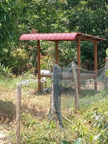 Gazebo Besi - Garden Items for sale in Kuala Terengganu, Terengganu