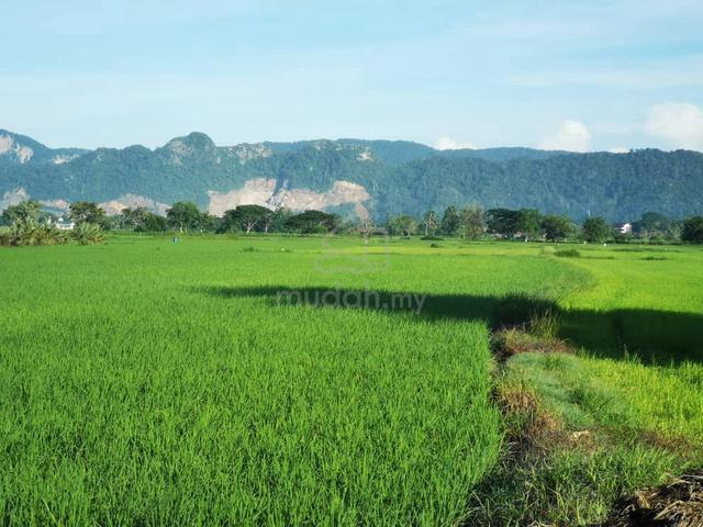 Agricultural Land for Sale, 1.06 Acre(s), Kaki Bukit, Perlis | Mudah.my