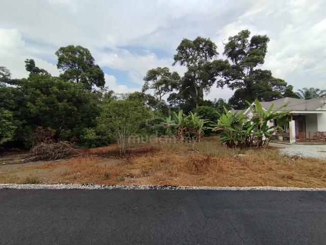 Residential Land for Sale, 0.11 Acre(s), Semerah, Johor 110221635 ...