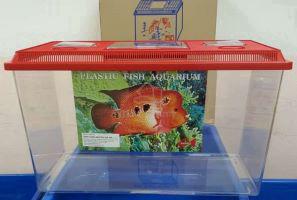 Plastik Bekas Ikan 600mm - Pets for sale in Kota Bharu, Kelantan