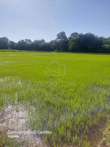 Agricultural Land for Sale, 2.32 Acre(s), Merbok, Kedah 107362077 ...