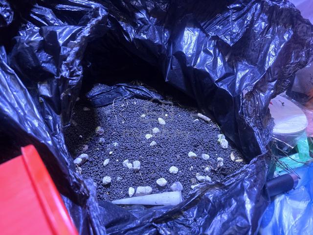 Amazonia mix fluval stratum aqua soil - Pets for sale in Nilai, Negeri ...