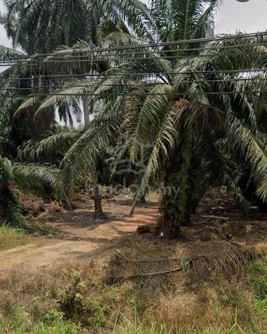Commercial Land for Sale, 5.3 Acre(s), Kuala Selangor, Selangor ...