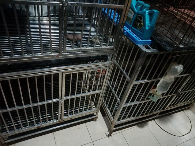 Preloved stainless steel cage - Pets for sale in Keningau, Sabah