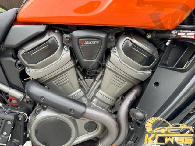 Harley Davidson Pan America Special edition TM1250 - Motorcycles for ...