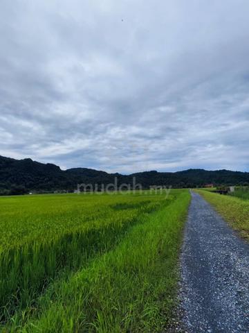 Agricultural Land for Sale, 1.9 Acre(s), Kangar, Perlis | Mudah.my
