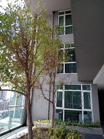 Apartment for Sale, 2 Bedroom, 565 sq.ft, Central Residence @ Sg Besi ...