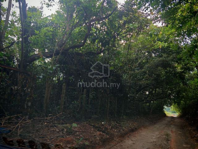Agricultural Land for Sale, 4.7 Acre(s), Mantin, Negeri Sembilan | Mudah.my