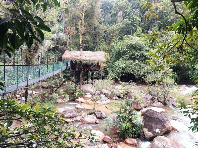 Agricultural Land for Sale, 3 Acre(s), Raub, Pahang 110615395 | Mudah.my