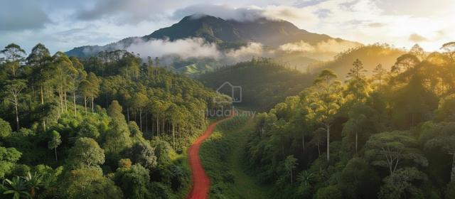 Agricultural Land for Sale, 94.7 Acre(s), Cameron Highlands, Pahang ...