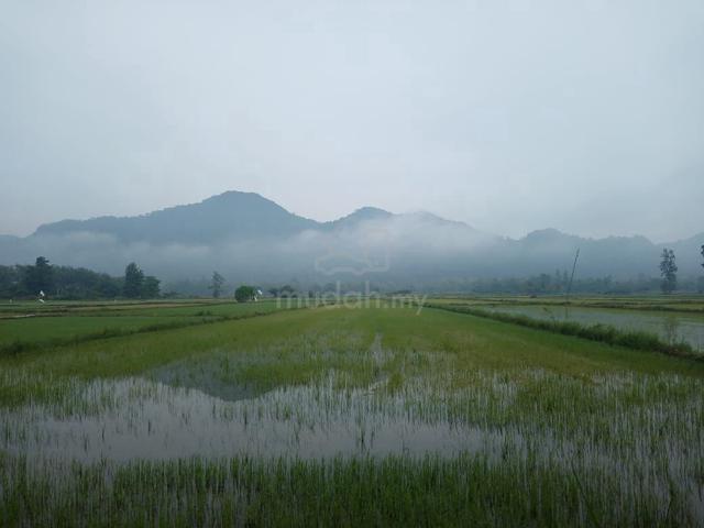 Agricultural Land for Sale, 0.5 Acre(s), Kangar, Perlis 112119608 ...