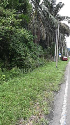 Agricultural Land for Sale, 3.02 Acre(s), Manong, Perak 113298068 ...