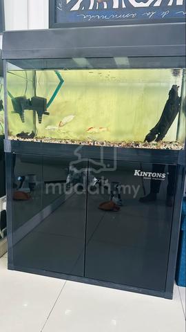 Aquarium / Fish Tank 3 Ft with fishes - Pets for sale in Mutiara ...