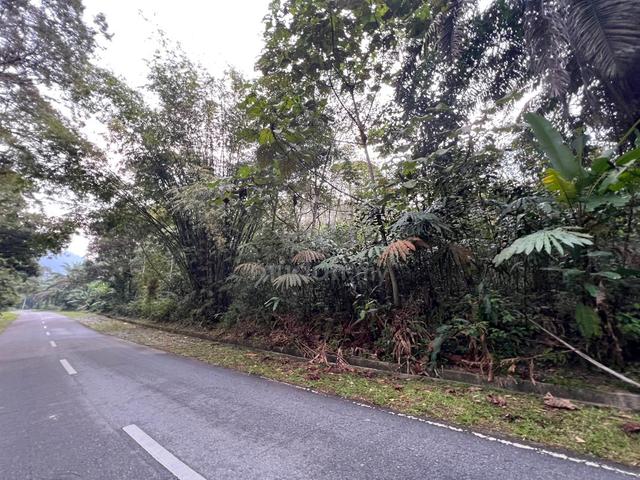 Agricultural Land for Sale, 5 Acre(s), Chenderiang, Perak 113709592 ...