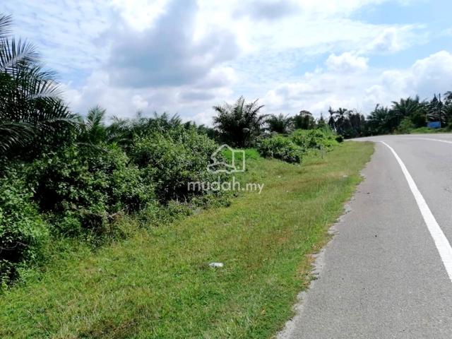 Agricultural Land for Sale, 471 Acre(s), Mersing, Johor 102715928 ...