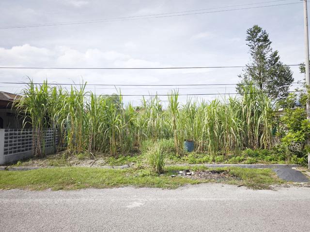 Residential Land for Sale, 293 Acre(s), Menglembu, Perak 113079015 ...
