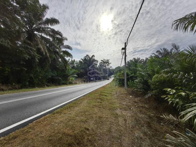 Agricultural Land for Sale, 5 Acre(s), Triang, Pahang 112247457 | Mudah.my