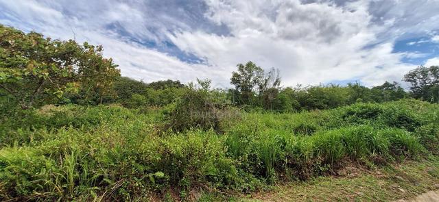 Agricultural Land for Sale, 5 Acre(s), Jeli, Kelantan 108971875 | Mudah.my