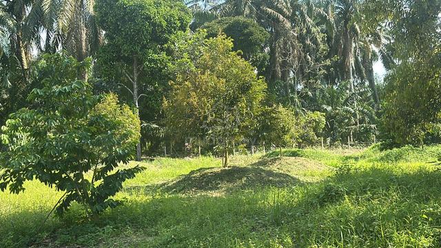 Agricultural Land for Sale, 0.89 Acre(s), Kuala Selangor, Selangor ...