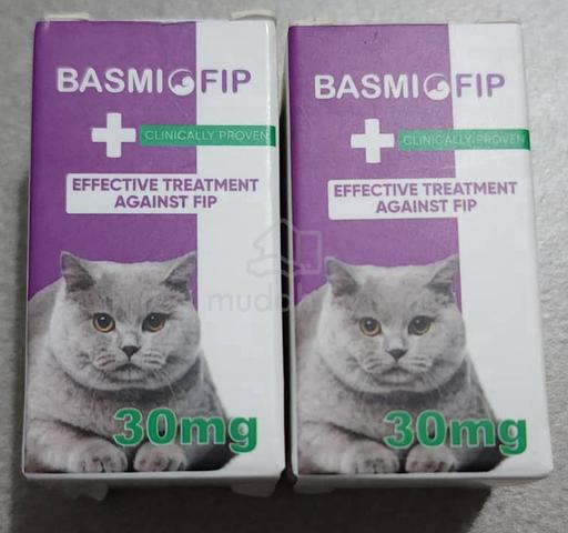 FIP Cats Treatment (GS-441524) - Pets for sale in Bukit Jalil, Kuala Lumpur