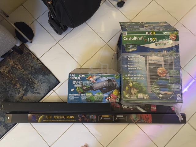 Aquarium Tank 4x2ft, Arowana Super Red - Pets for sale in Paya Terubong ...