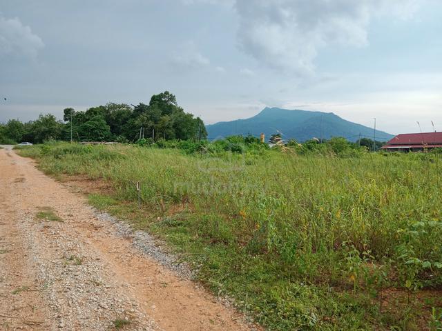 Agricultural Land for Sale, 0.01 Acre(s), Guar Chempedak, Kedah ...
