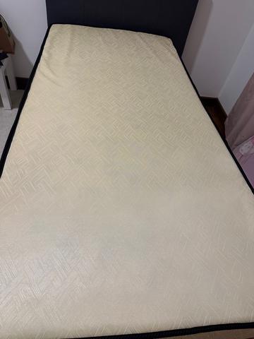 Sponge Single Bed - Furniture & Decoration for sale in Johor Bahru, Johor