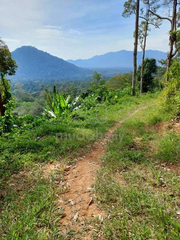 Agricultural Land for Sale, 2.66 Acre(s), Padang Rengas, Perak ...