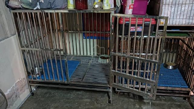 dog cage - Pets for sale in Alor Setar, Kedah