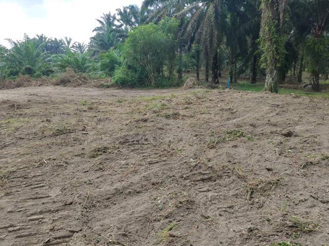 Residential Land for Sale, 1 Acre(s), Bandar Baharu, Kedah 112942380 ...