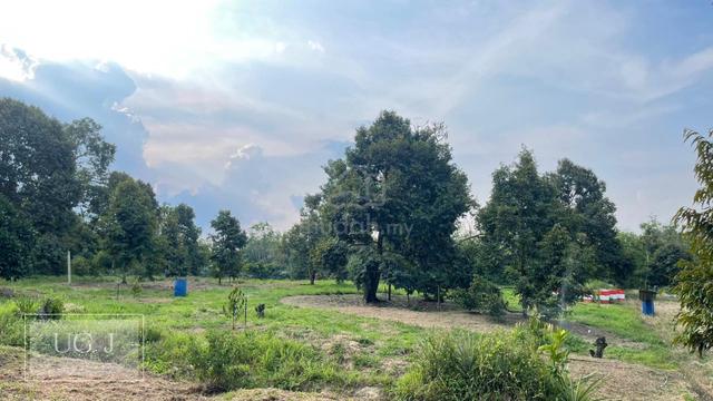 Agricultural Land for Sale, 9.3 Acre(s), Karak, Pahang 104548200 | Mudah.my