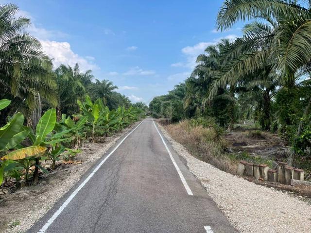 Agricultural Land for Sale, 9 Acre(s), Kulai, Johor | Mudah.my
