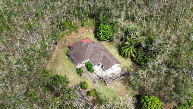 Agricultural Land for Sale, 5.3 Acre(s), Kuala Ketil, Kedah 113234559 ...