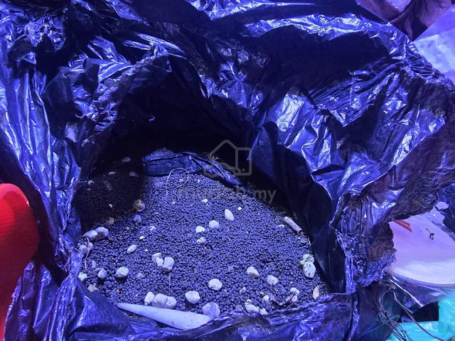 Amazonia mix fluval stratum aqua soil - Pets for sale in Nilai, Negeri ...