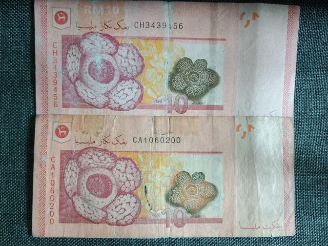 Duit lama RM5 Dan RM10 Black Rafflesia - Hobby & Collectibles for sale ...