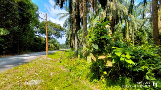 Agricultural Land for Sale, 3.12 Acre(s), Rembau, Negeri Sembilan ...