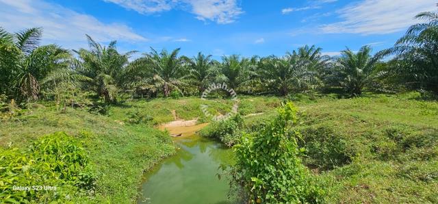 Agricultural Land for Sale, 74 Acre(s), Temoh, Perak 103248347 | Mudah.my