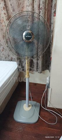 Sharp Stand Fan - Home Appliances & Kitchen for sale in Cyberjaya, Selangor