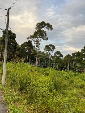 Agricultural Land for Sale, 3 Acre(s), Lanchang, Pahang 111746913 ...