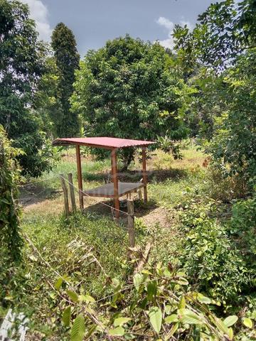 Gazebo Besi - Garden Items for sale in Kuala Terengganu, Terengganu