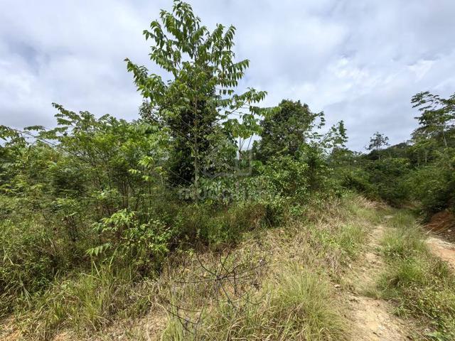 Agricultural Land for Sale, 9 Acre(s), Raub, Pahang 112247483 | Mudah.my