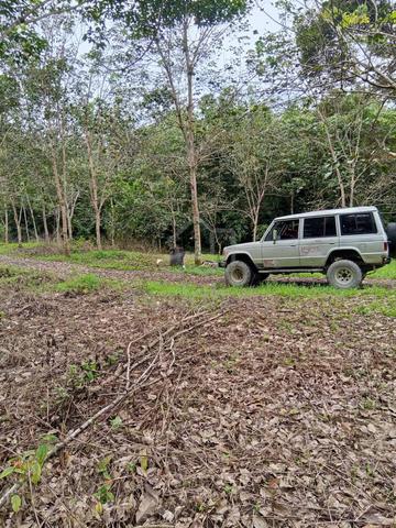 Agricultural Land for Sale, 2 Acre(s), Gerik, Perak | Mudah.my