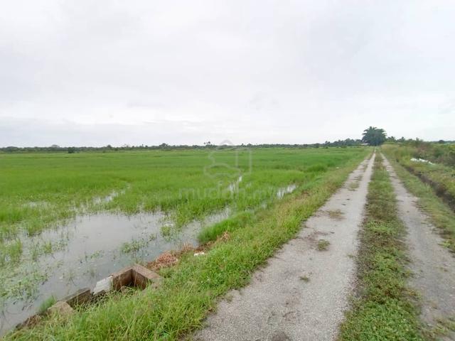 Agricultural Land for Sale, 4.07 Acre(s), Bandar Baharu, Kedah | Mudah.my